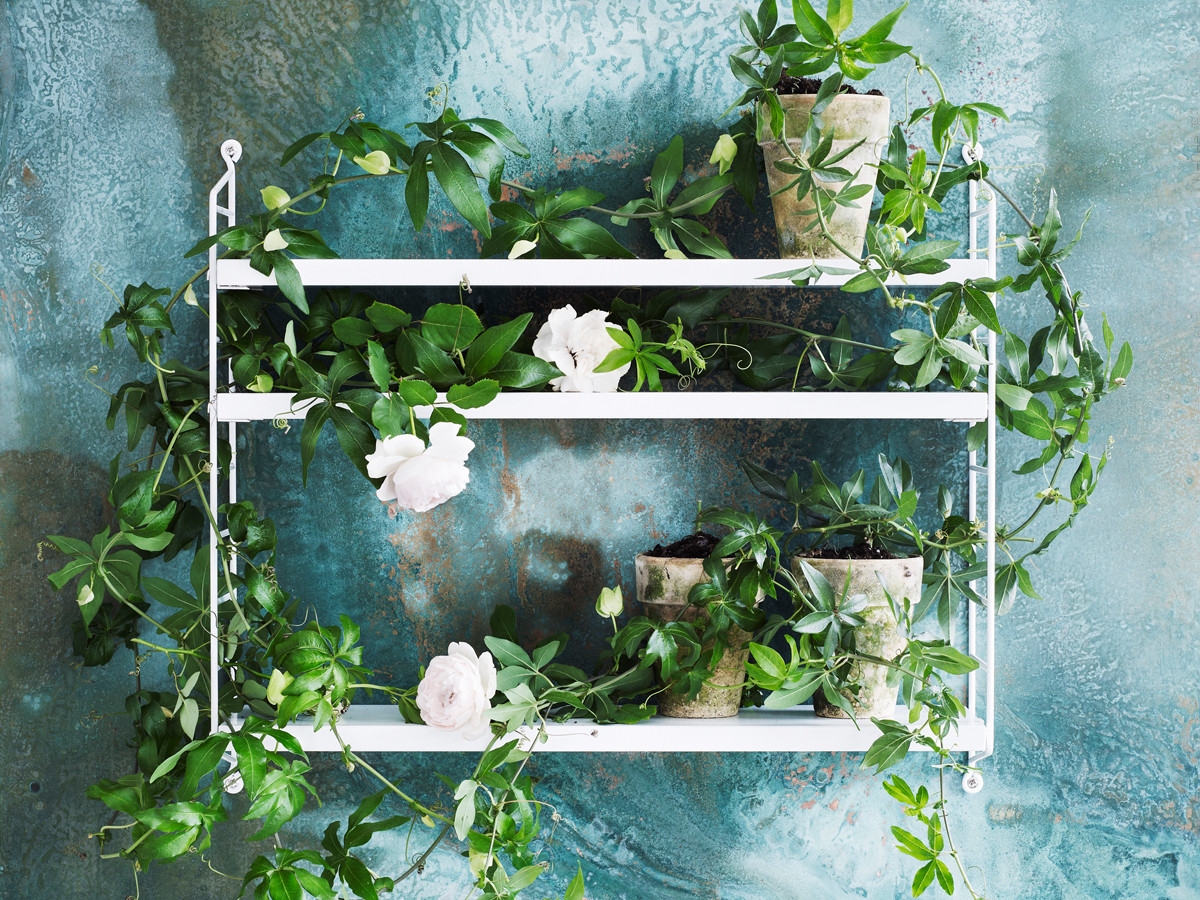 Buy the String Pocket Shelving White at Nest.co.uk