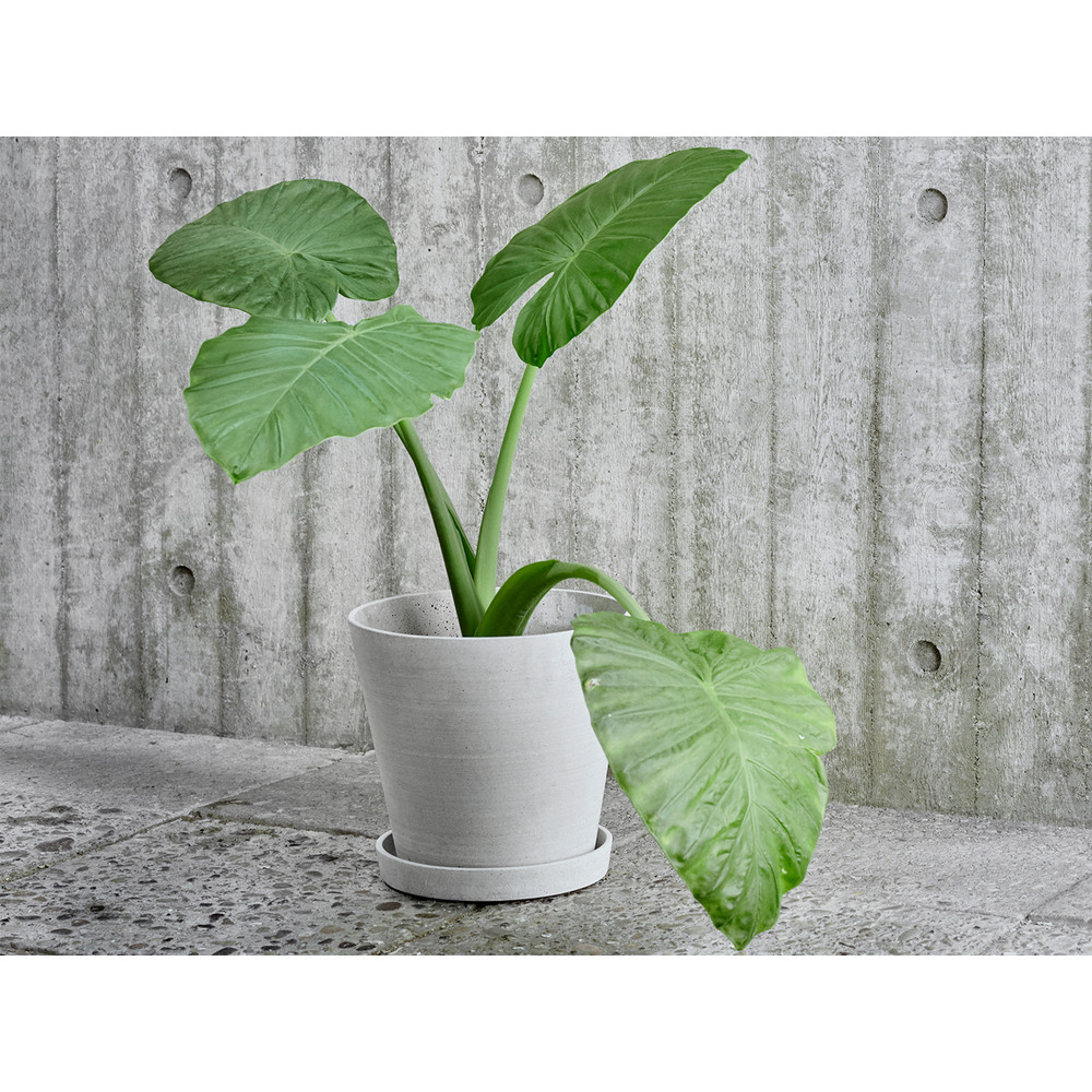Buy the Hay Flowerpot with Saucer Grey at nest.co.uk