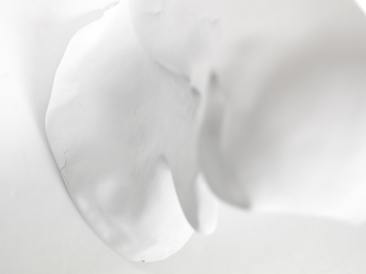 Buy the Ex-Display Northern Lighting Moo Wall Light at nest.co.uk
