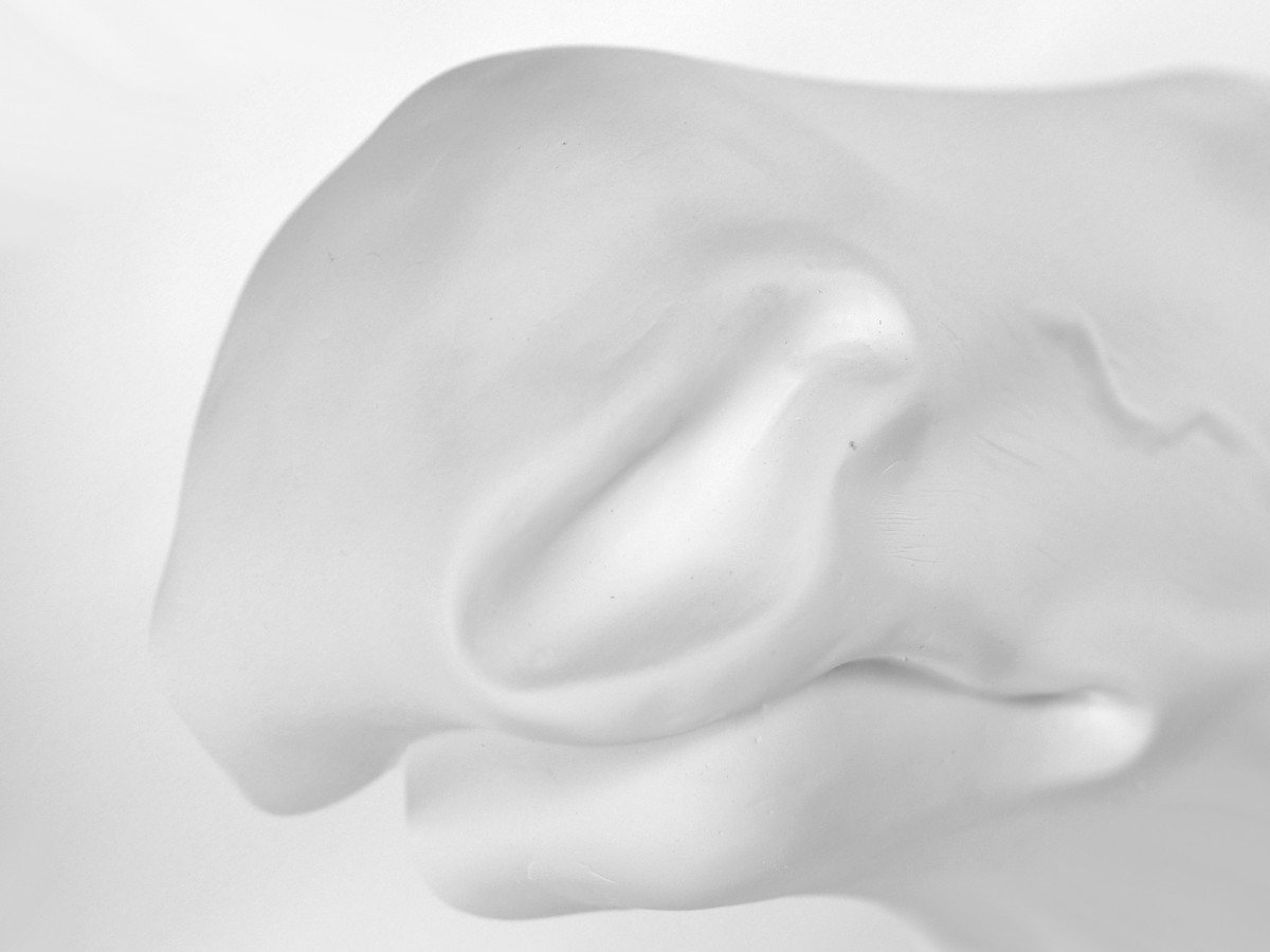 Buy the Ex-Display Northern Lighting Moo Wall Light at nest.co.uk