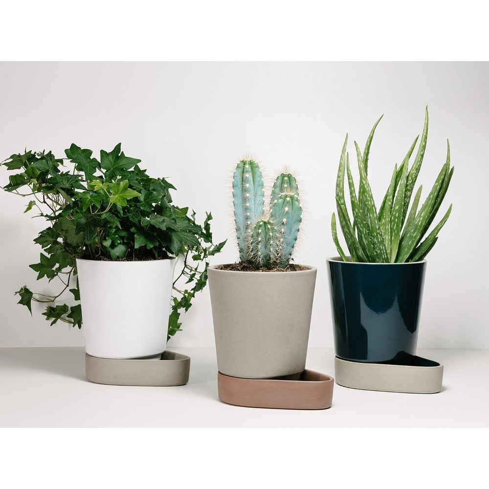 Buy the Case Furniture Sip Plant Pot at nest.co.uk