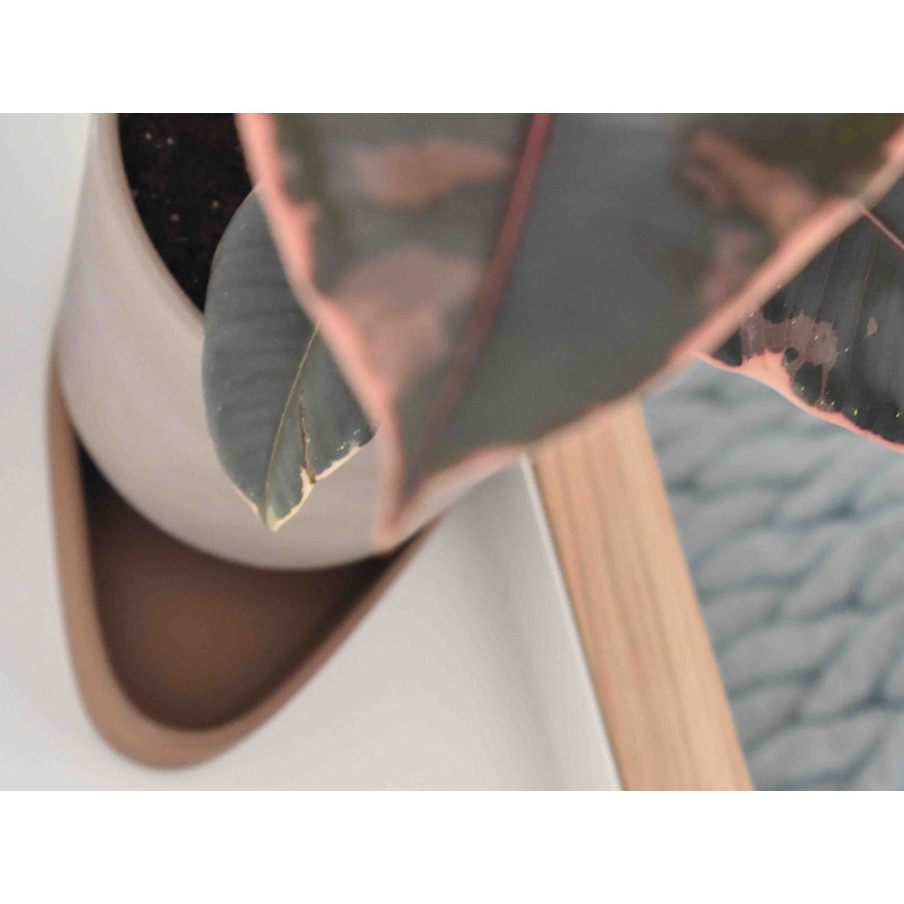 Buy the Case Furniture Sip Plant Pot at nest.co.uk