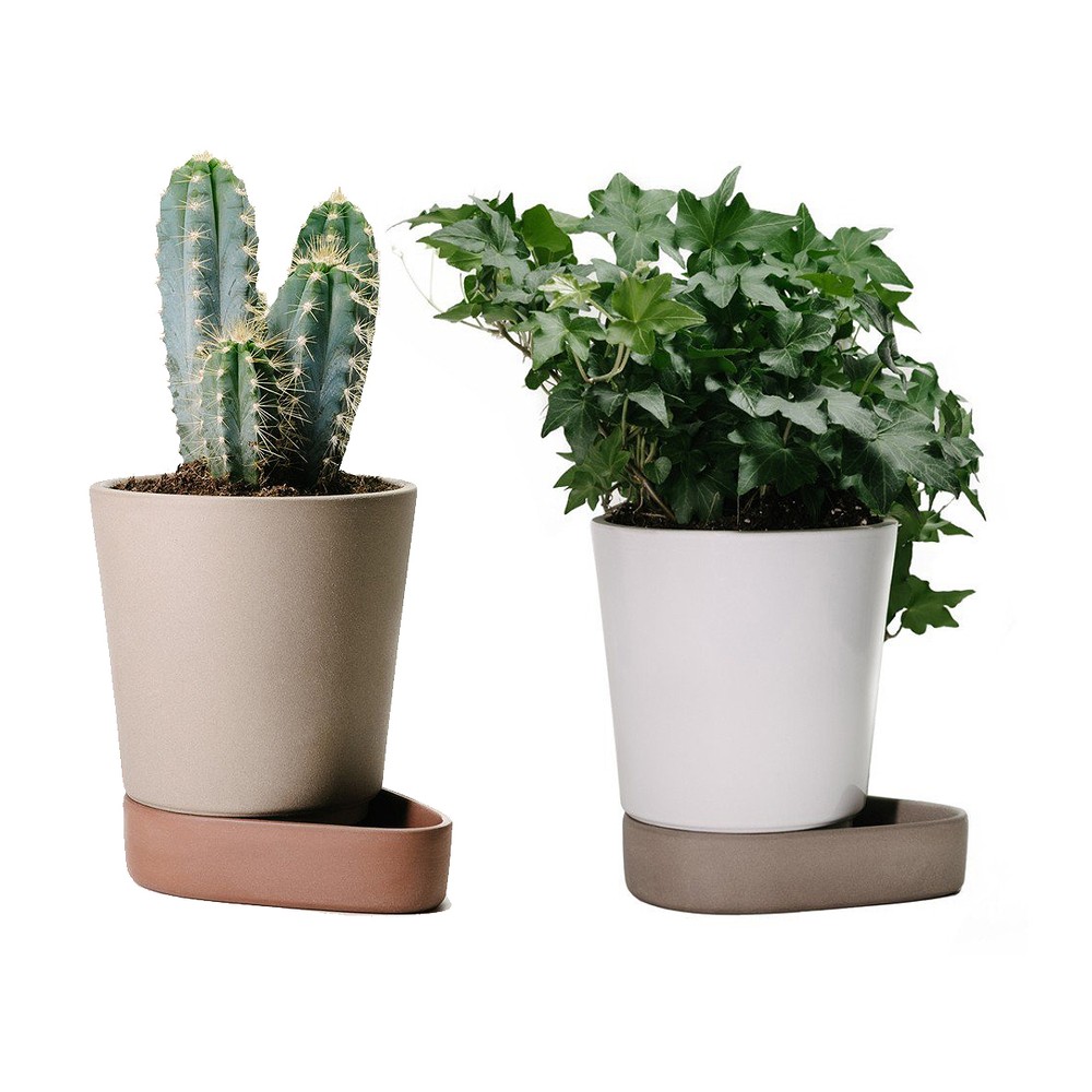 Buy the Case Furniture Sip Plant Pot at nest.co.uk