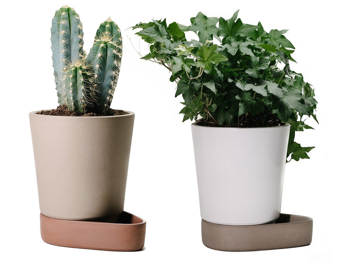 Buy the Case Furniture Sip Plant Pot at nest.co.uk