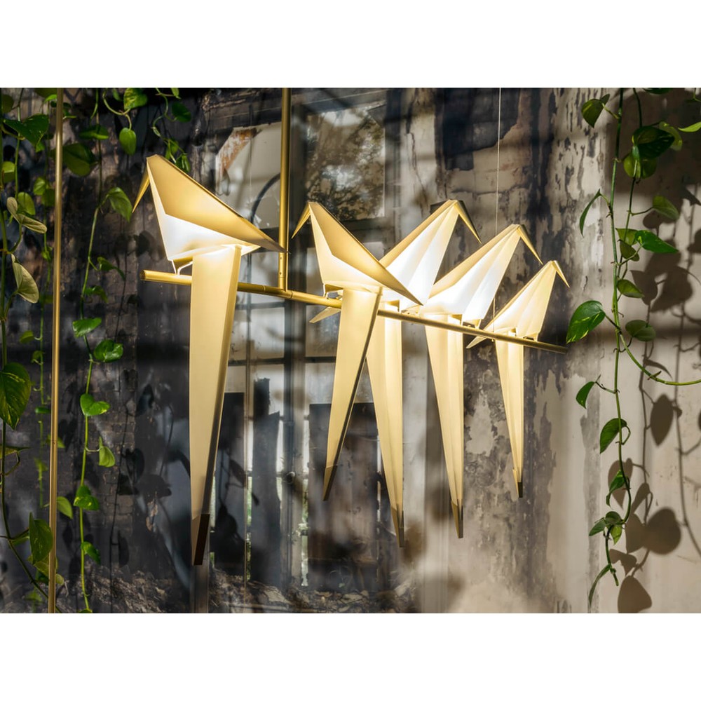 Buy the Moooi Perch Branch Suspension Light at nest.co.uk