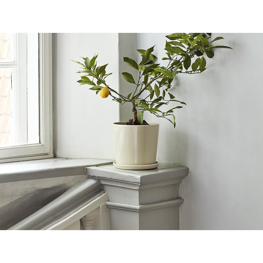 Buy the Hay Botanical Plant Pot with Saucer at nest.co.uk