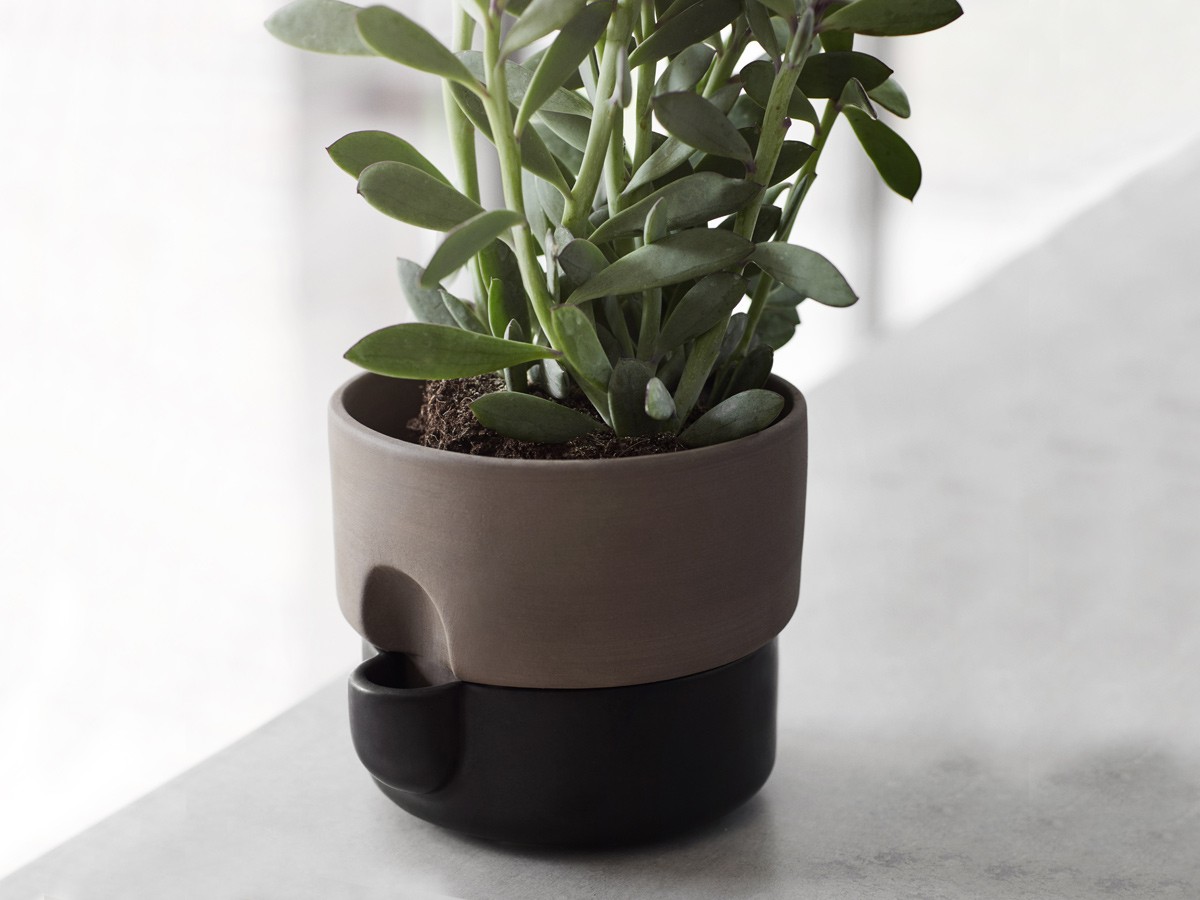 Buy the Northern Oasis Flower Pot at nest.co.uk
