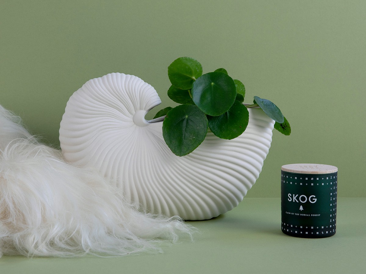 Buy the ferm LIVING Shell Pot at nest.co.uk