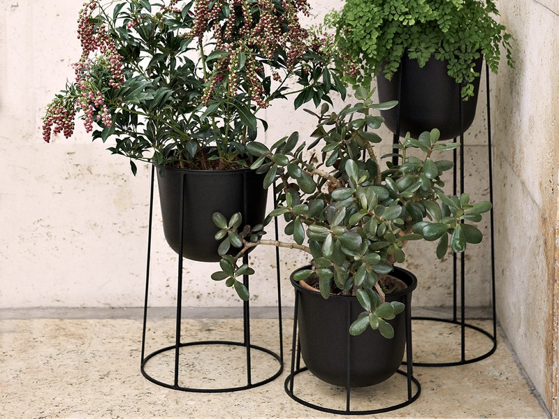Buy the Menu Wire Plant Pot - Black at nest.co.uk