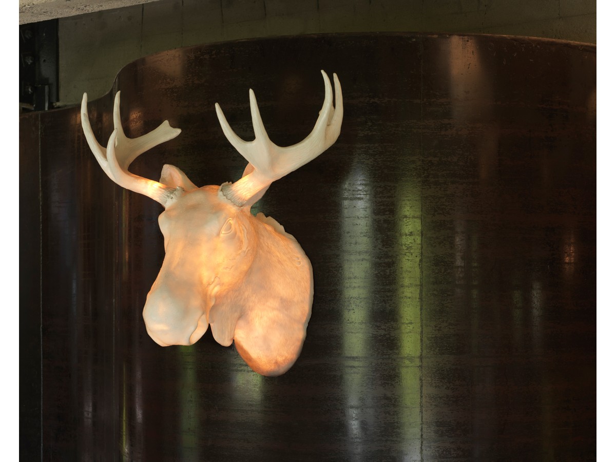 Buy the Northern Moo Wall Light at nest.co.uk