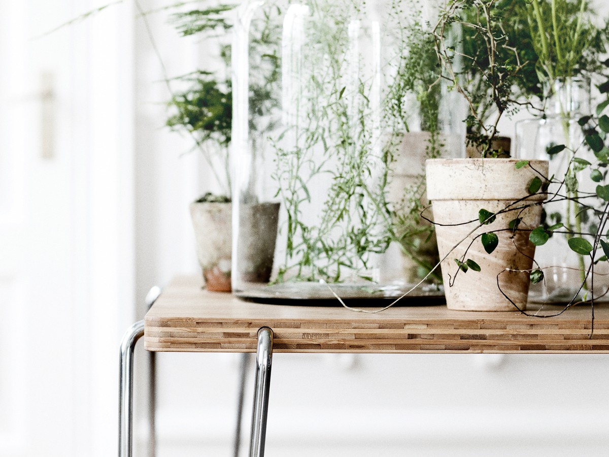 Buy the Fredericia Slim Jim Table at nest.co.uk